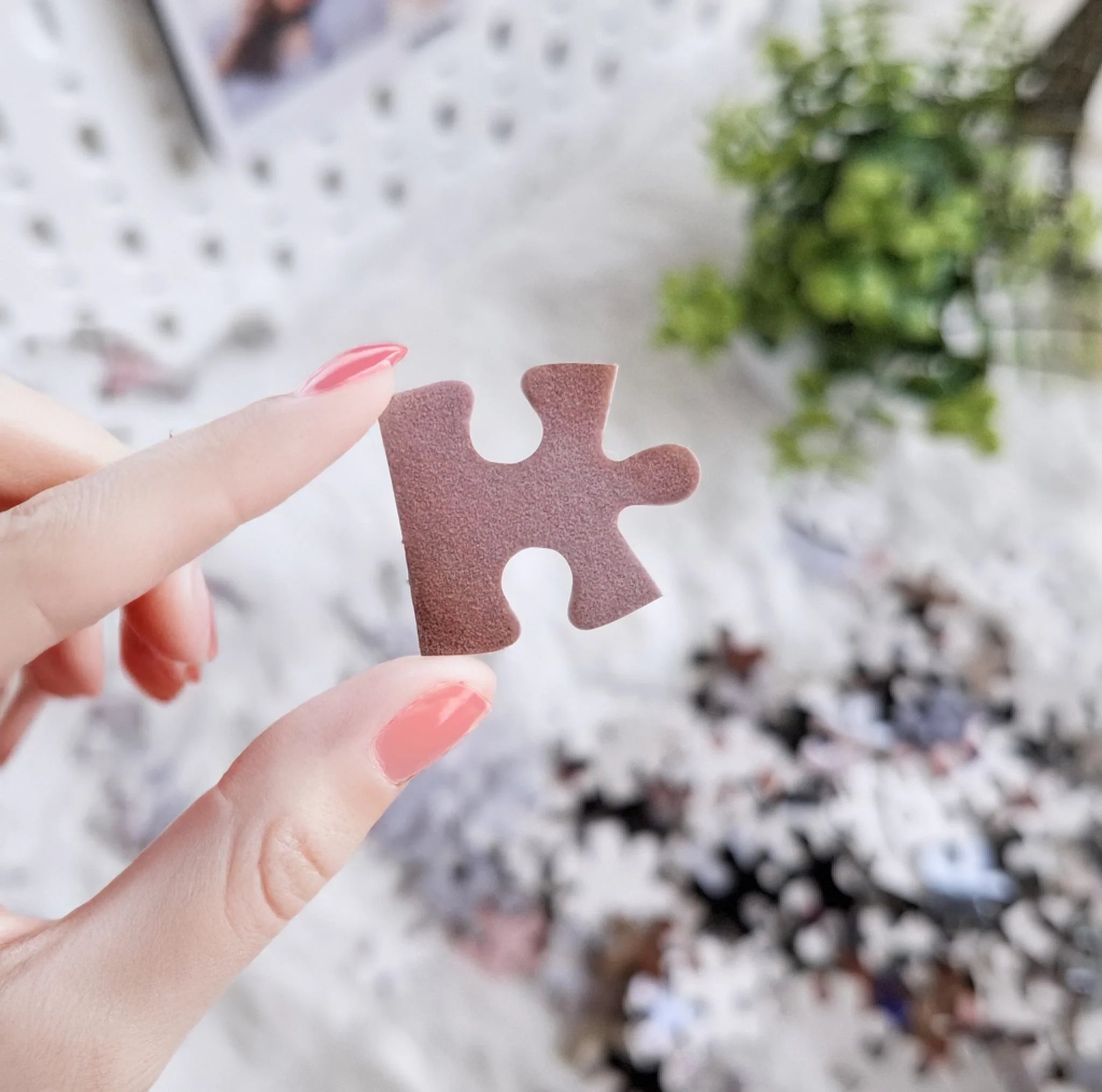 Picsaw 300 ชิ้น - แบบ 1 Photo – Master Photo Network Co.,Ltd.